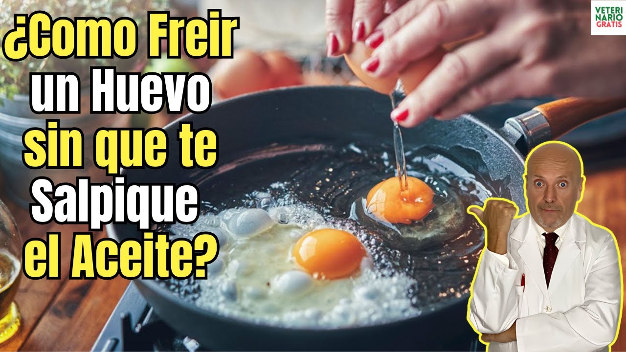 🚨 ¿COMO FREIR UN HUEVO SIN QUE TE SALPIQUE EL ACEITE? 🚨 - YouTube