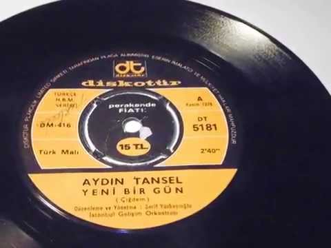 aydın tansel , günler aylar , yeni bir gün  PLAK RECORD 7\