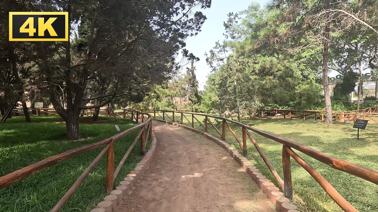 【4K】🌳 Walking in "BOTANICAL GARDEN" 🌲 | LIMA PERÚ | Caminando en JARDÍN ...