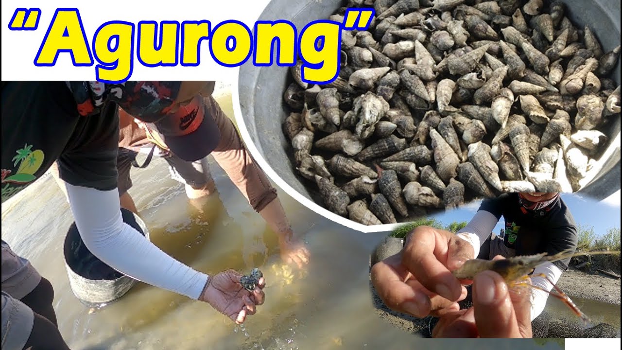 Ep.59- Manguha tayo ng Susong Pilipit "Agurong-Tabagwang"| Buhay ...