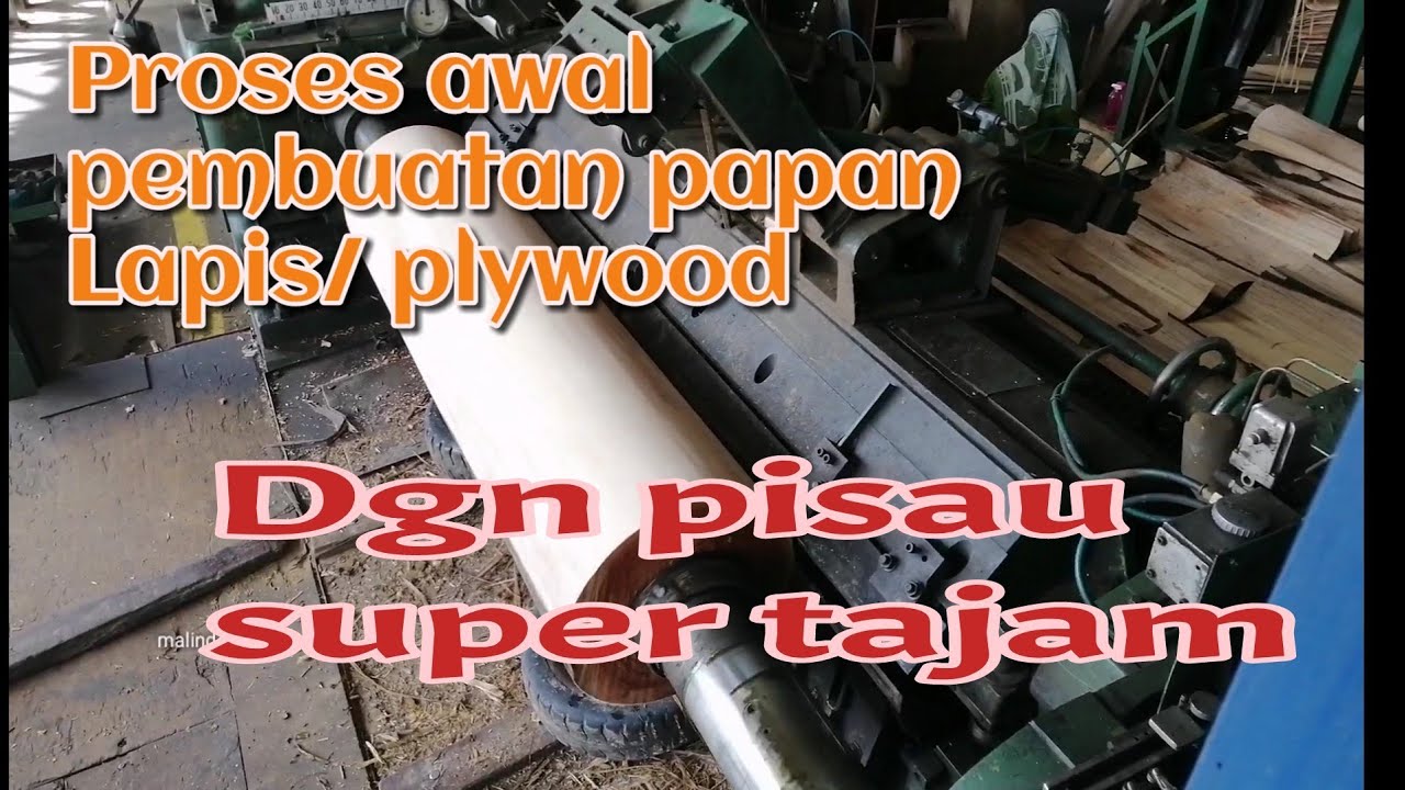 cara proses awal pembuatan papan lapis atau plywood di kilang tki sull ...