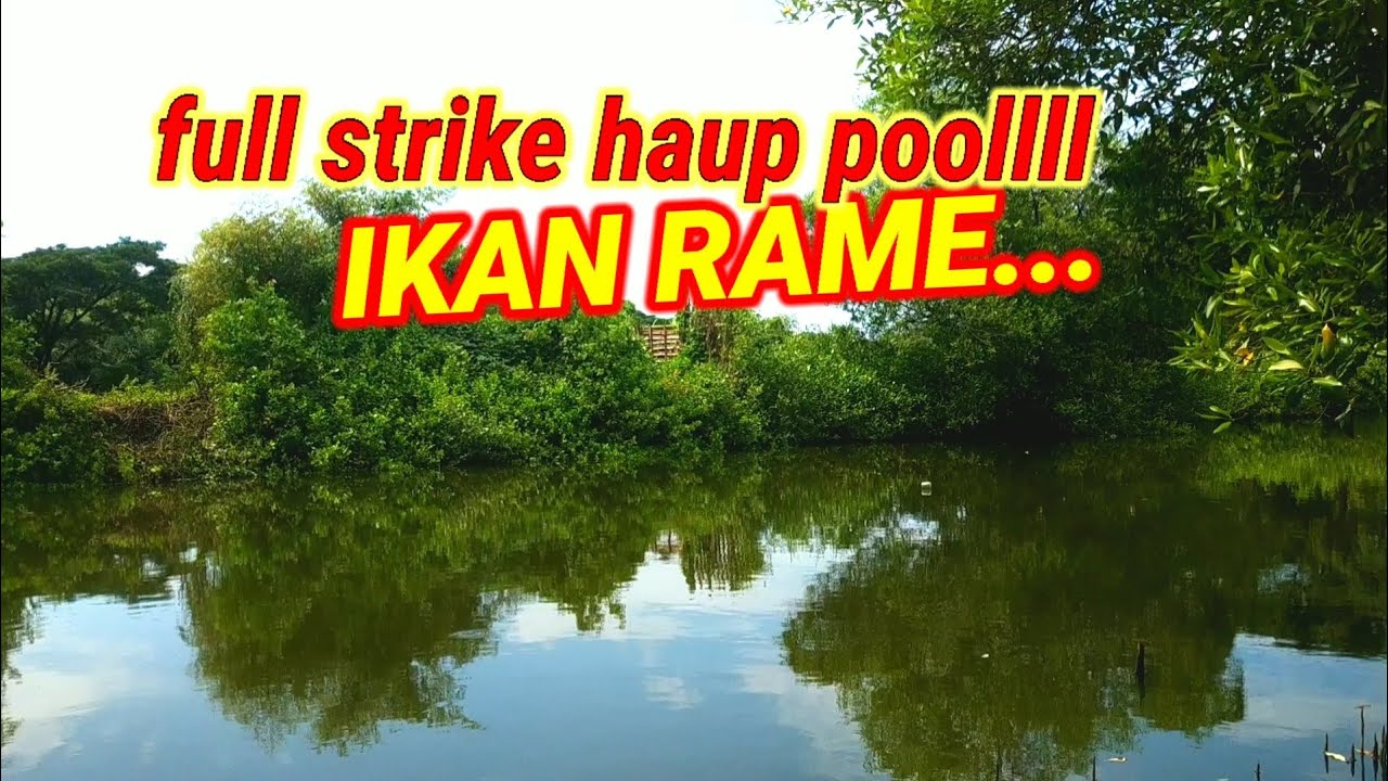 MANCING IKAN RAME SENIN 26 MEI 2025 PESTA PORA//SPOT MANCING SURABAYA - YouTube
