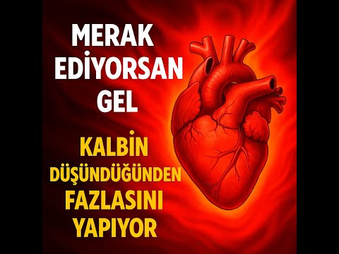 Kalp Nasıl Çalışır! (Bu Sistem Mühendisleri Bile Şaşırtıyor!)