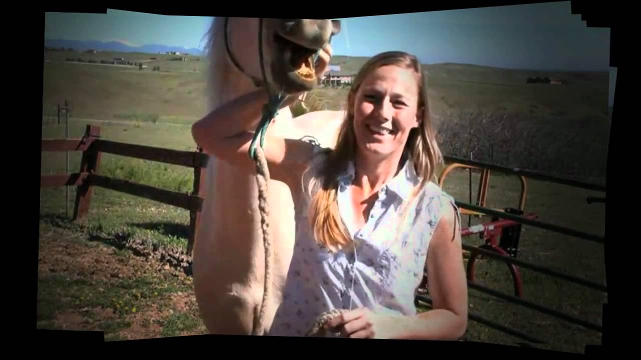 Beginner Horse Training - Basics and Fundamentals - YouTube