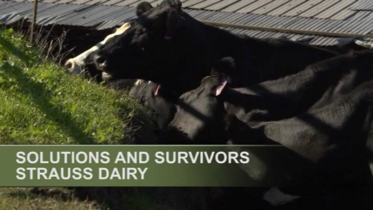 FARMAGEDDON - Solutions and Survivors - YouTube