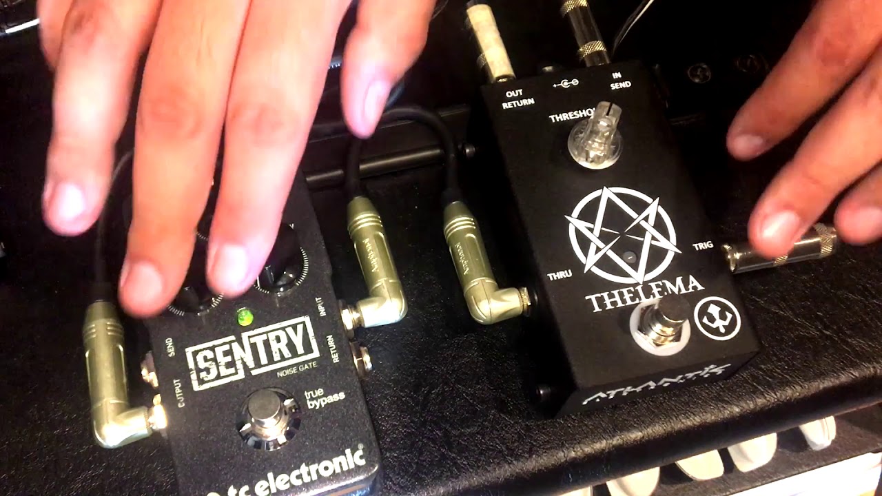 TC Electronic Sentry vs. Atlantic Electronics Thelema - YouTube
