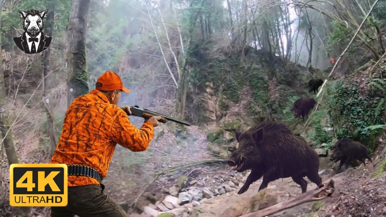 SHOCKING WILD BOAR INVASION: The Sniper Shots of Turkish Hunters Taking ...