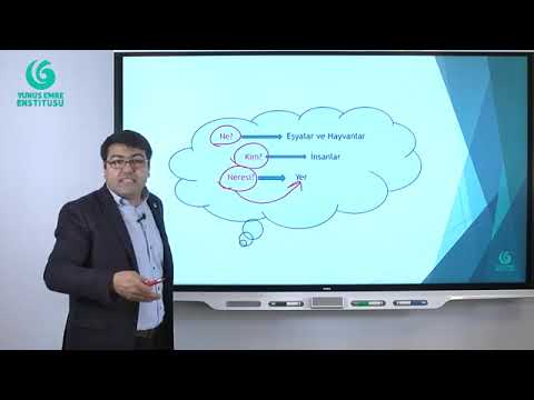 turk tilida bu şu o, burada, şurada, orada