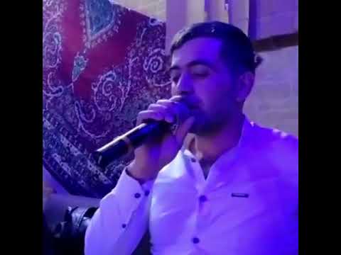 Elsever Seda Super Seir