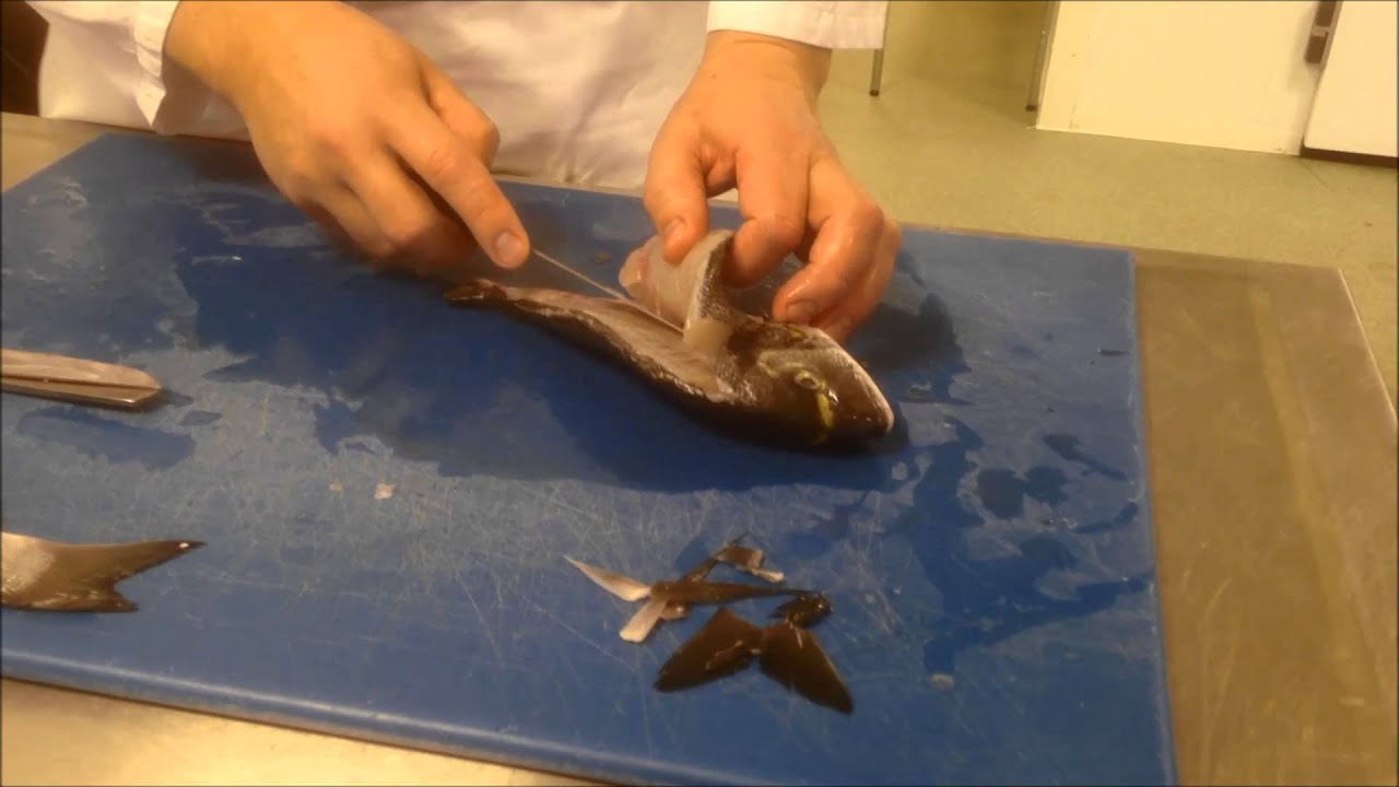 Filleting Round Fish - YouTube