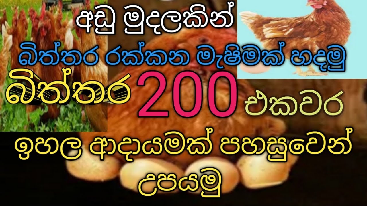 අඩු මුදලකින් බිත්තර රක්කන මැෂිමක් හදමු/bittara rakkana masimak hadamu ...