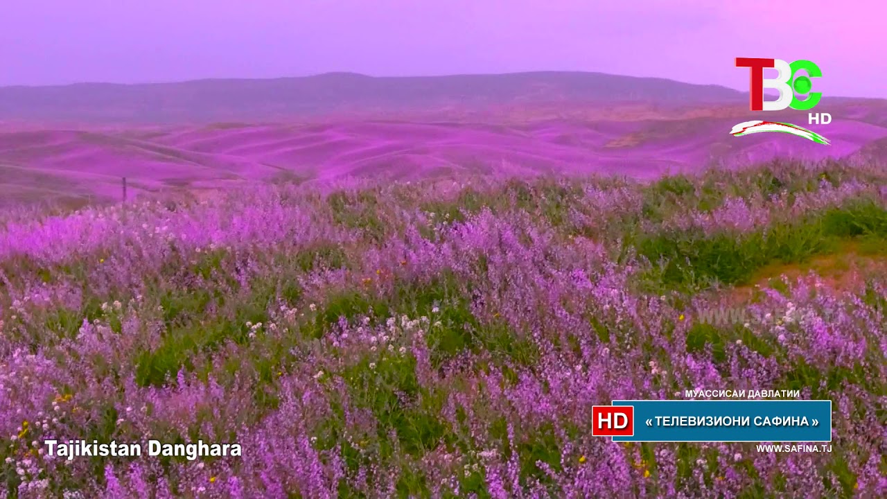 Tajikistan Danghara - YouTube