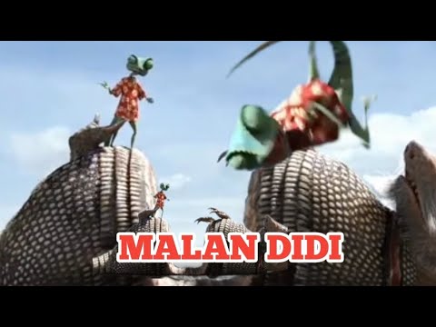 malan Didi yayihadari dariyadole HHH 😆😂😀#nishaditv #kaduna #mushadariya ...