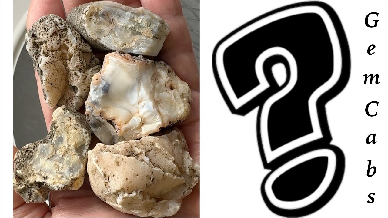 Group of Arizona Gila Bend Mountain Agates Cut Open to Reveal the ...