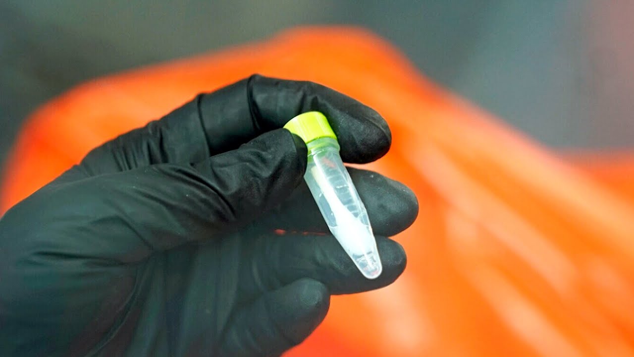 Toxic "forever chemicals" found in school uniforms across North America ...