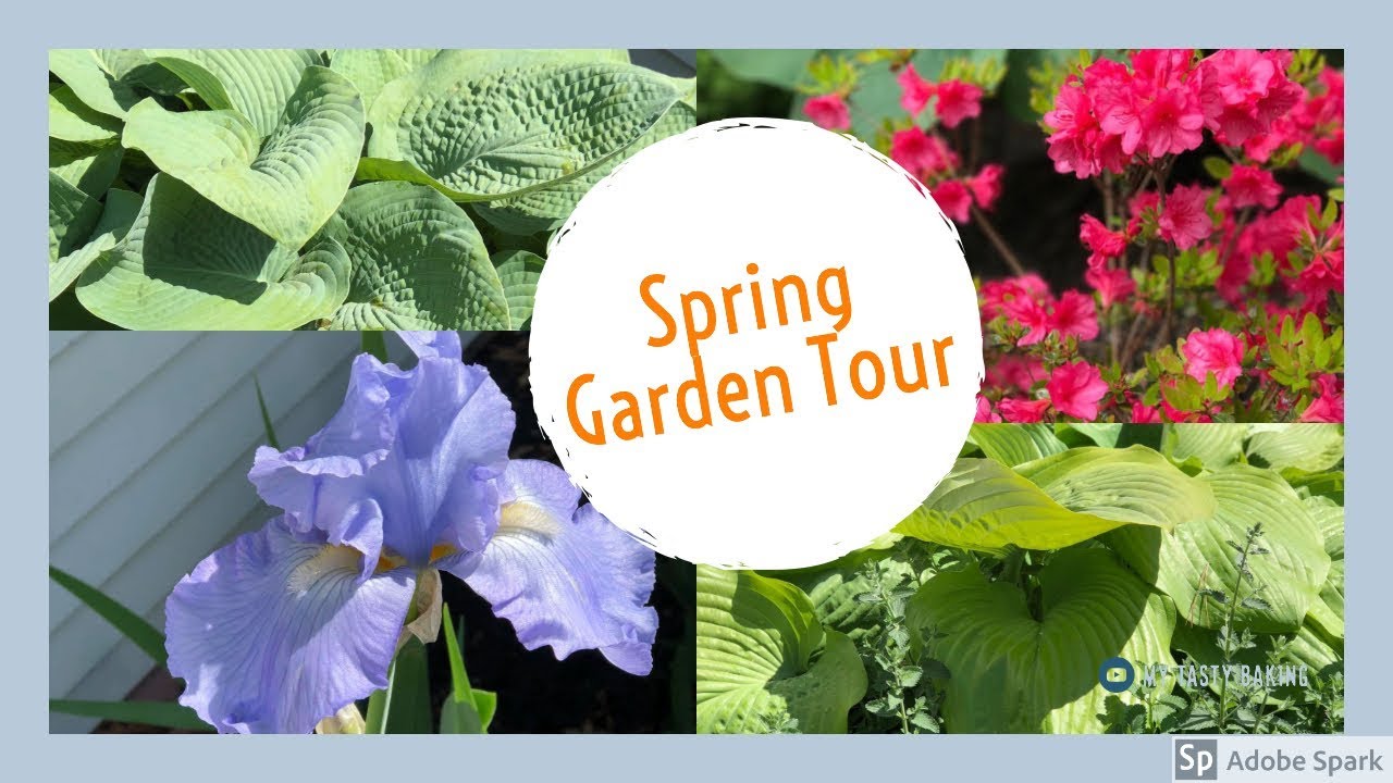 Spring Garden Tour! - YouTube