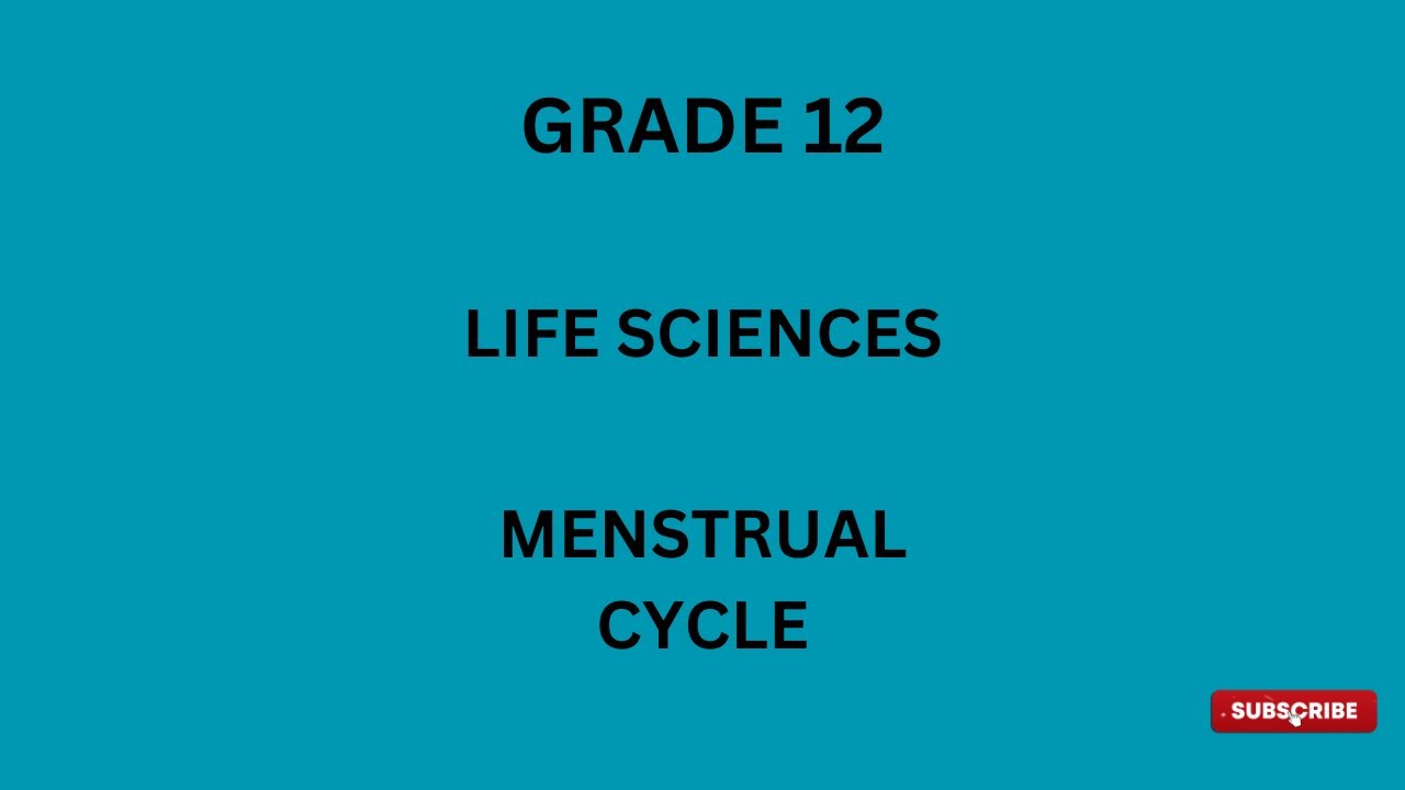 Grade 12|| Life Sciences|| Menstrual cycle - YouTube
