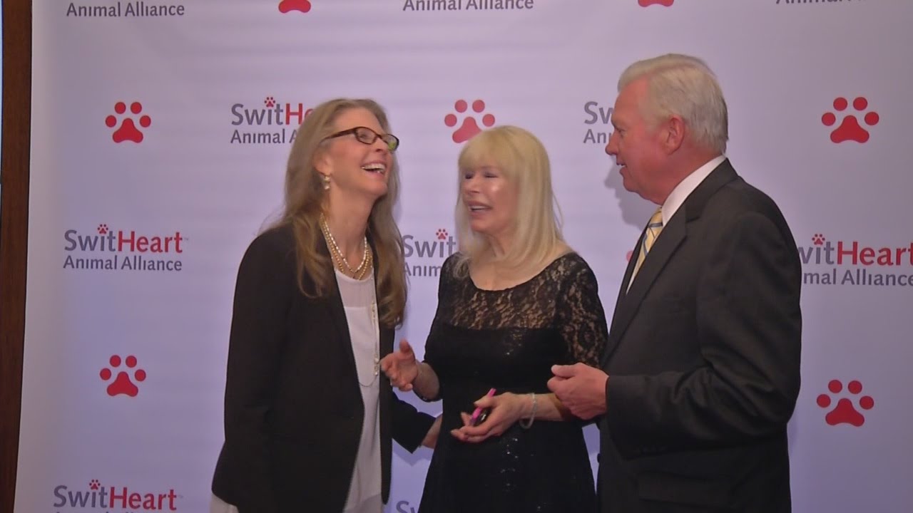 Switheart Animal Alliance Gala - YouTube