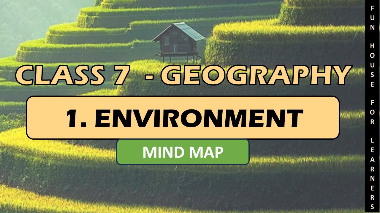 Environment Mind Map | CBSE, Class 7, Geography Ch 1 Mind Map # ...