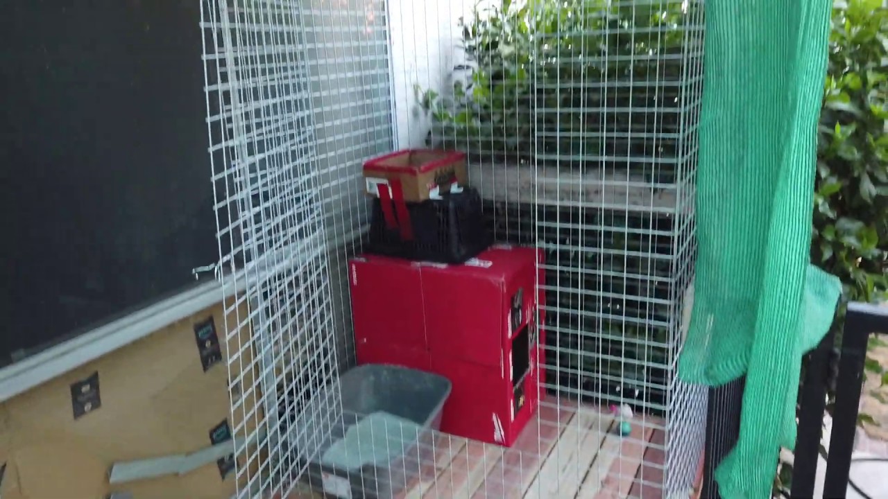 We built our cat an outdoor Catio. DIY Catio home with Info on supplies ...