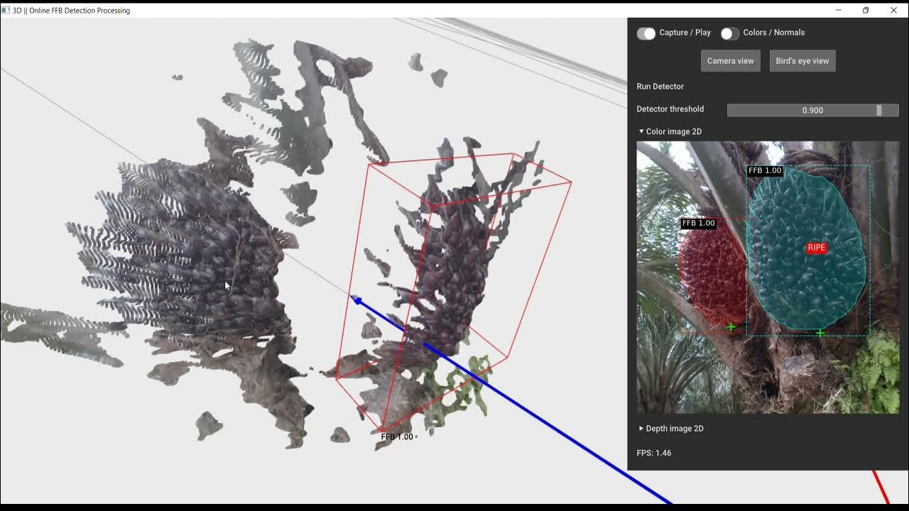 3D Bounding Box (Real-time automated palm oil FFB harvesting robot by using Deep Learning) - YouTube