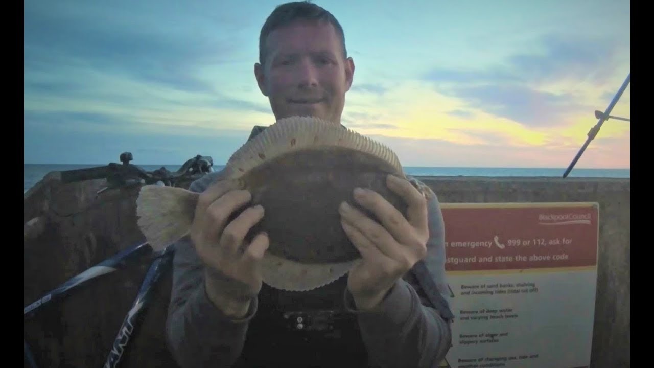 blackpool fishing gynn wall 28/05/19 pb plaice - YouTube