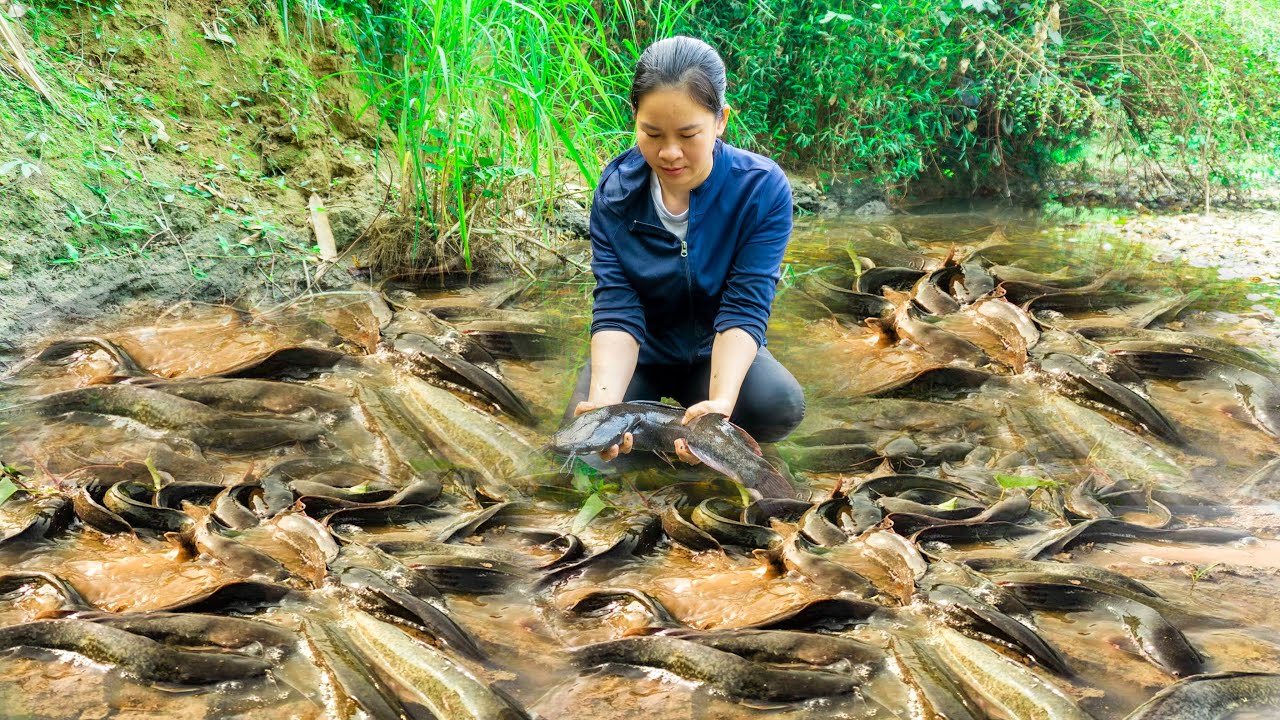 Top videos of catching fish the wild, using a high-capacity pump to ...