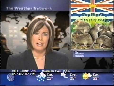 Early Carrie Olver at TWN - YouTube