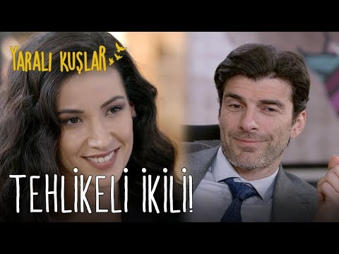 Tehlikeli İkili! | Yaralı Kuşlar 32. Bölüm