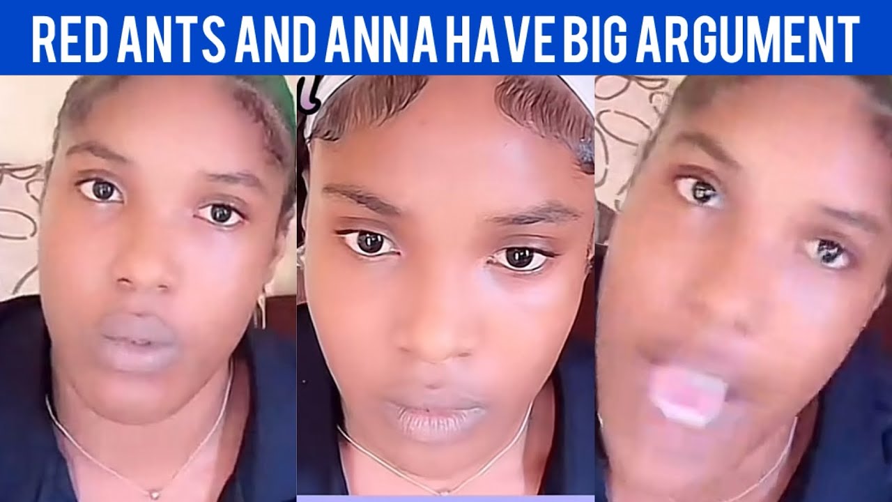 Red Ants & Anna Cuss Them each other Wicked!! In front Wilbert | No ...
