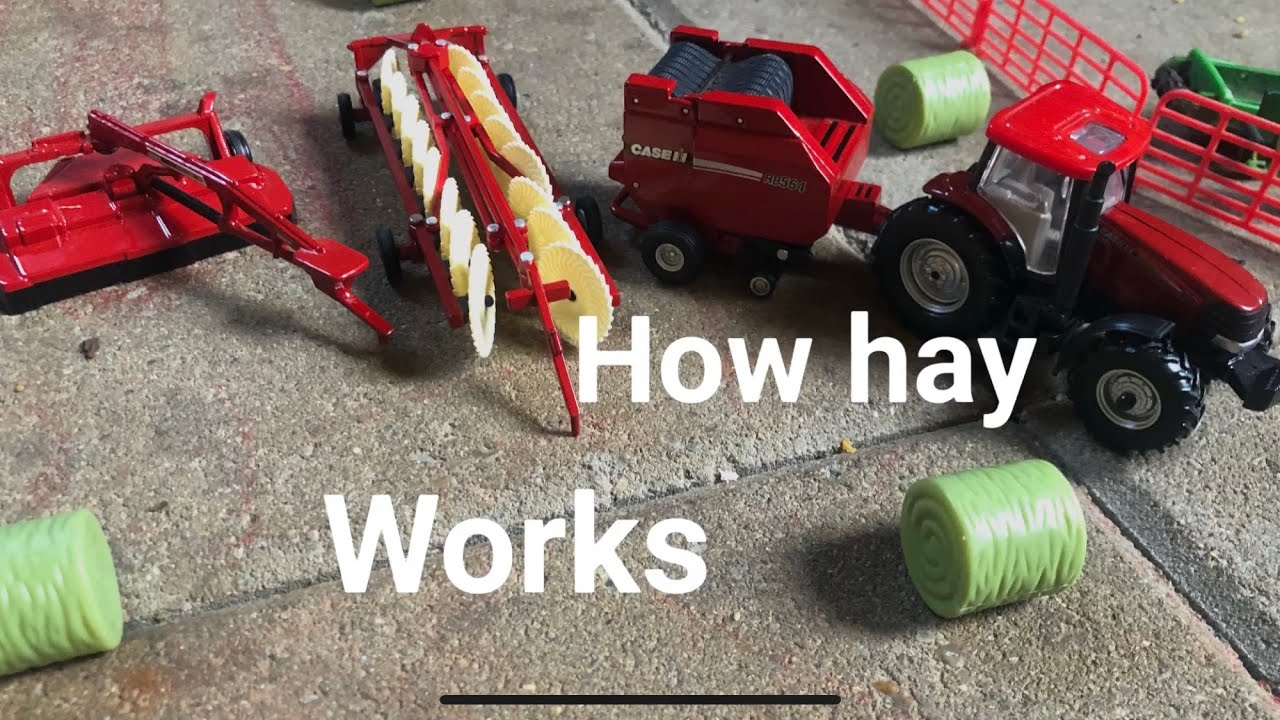 The hay process - YouTube