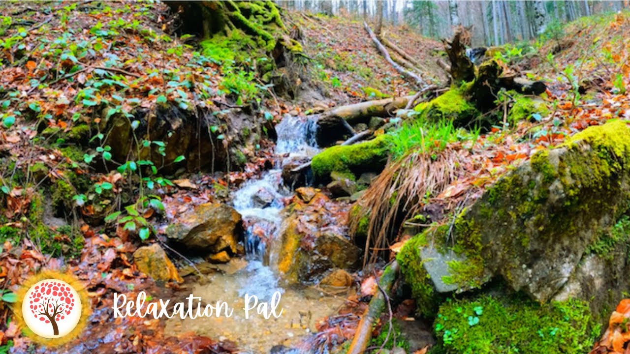 Relaxing Pal with Waterstream Sound - Sleep Music, Meditation Music ...