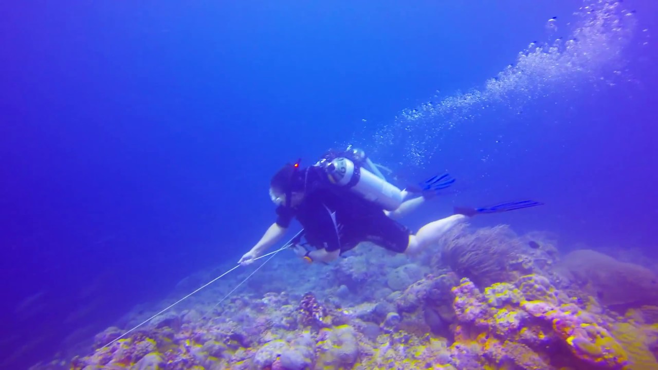 Palau Scuba Diving 2017 HD (Blue Corner and more!) - YouTube