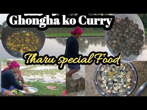 Ghongha Ko Curry || Sea foods || Village Foods || jagmohan kalpana ...