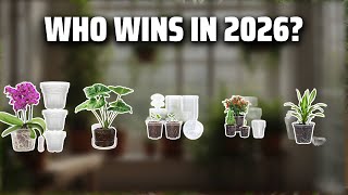 The Top 5 Best Clear Flower Pots in 2026 - Must Watch Before Buying!