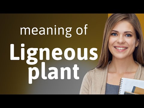 Ligneous plant — LIGNEOUS PLANT meaning - YouTube