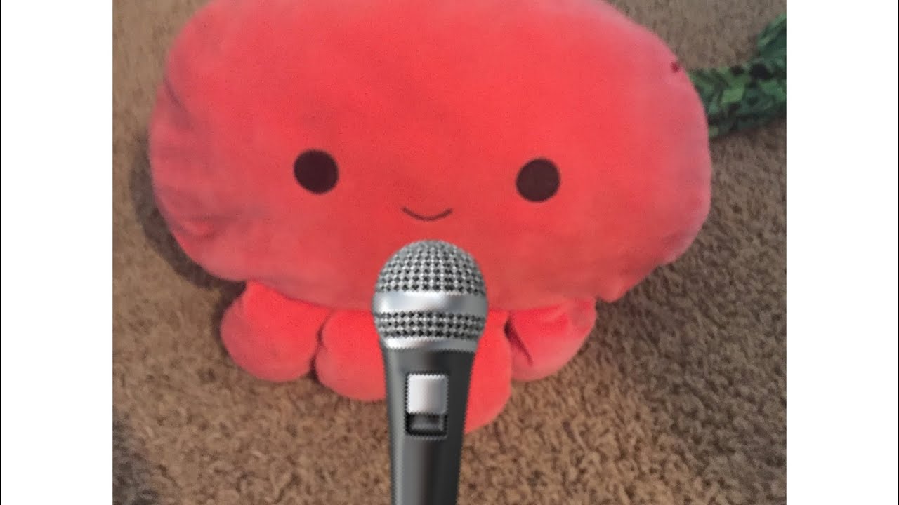 Official music video pop the mop - YouTube