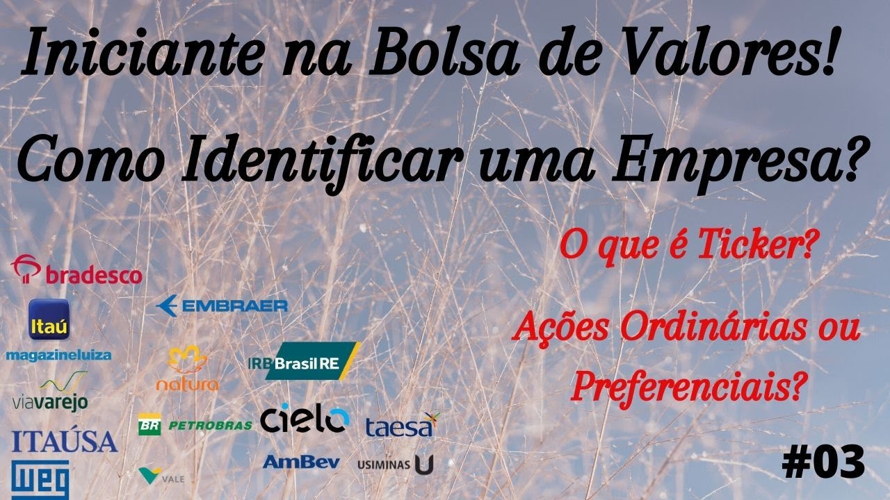 Como identificar o código das Empresas na Bolsa de Valores - O que é ...