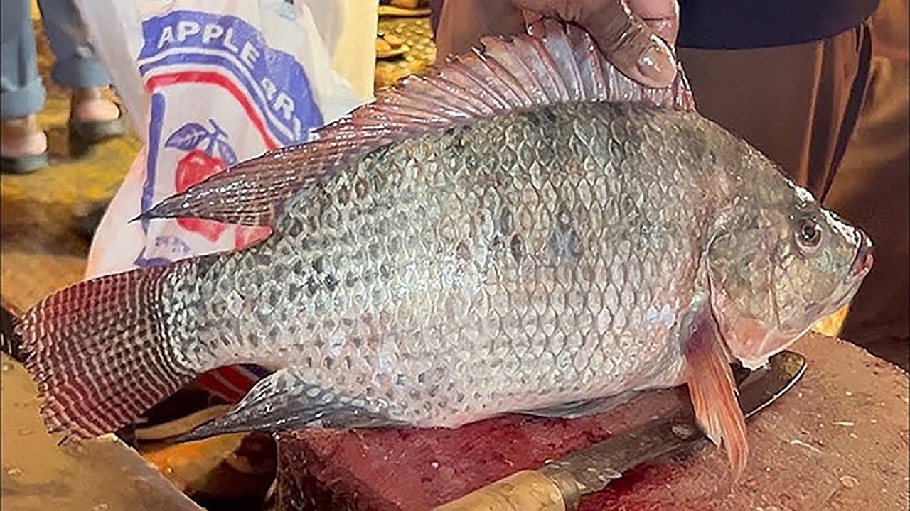Incredible Big Tripletail Fish Cutting In Fish Market | Fish Cutting ...