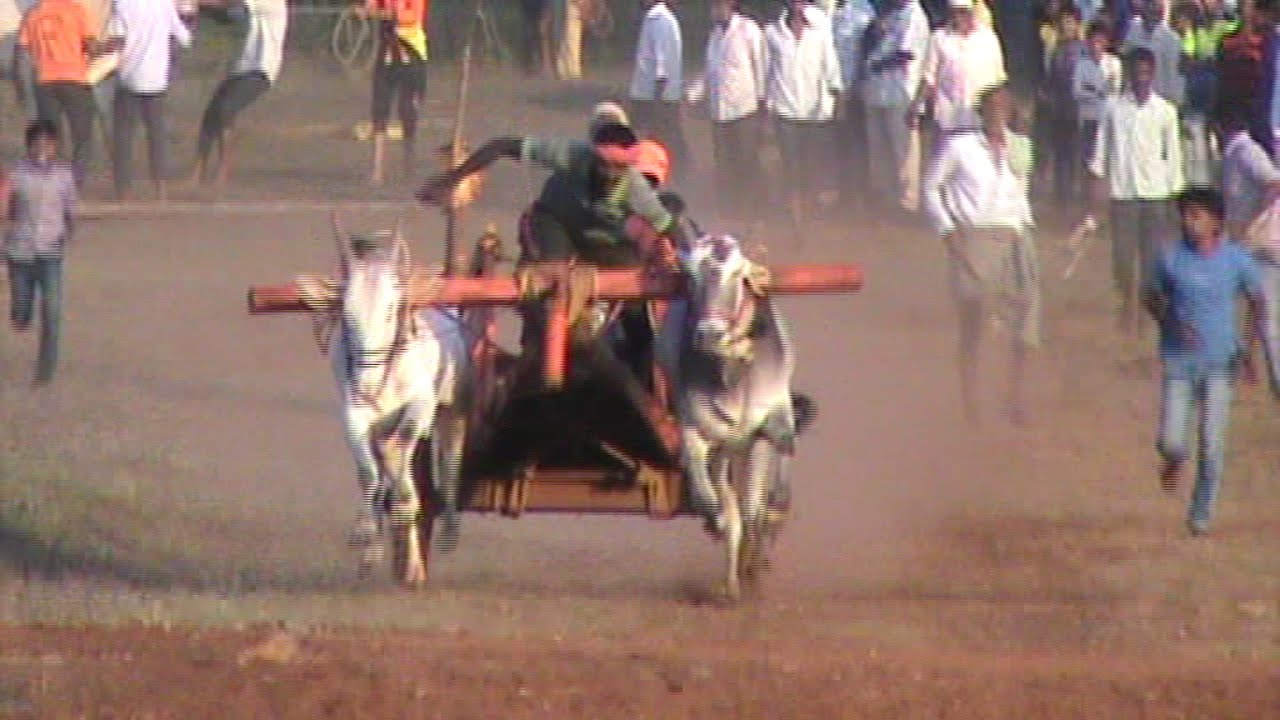 || खिल्लोरी बैलगाडी शर्यत तुर्मुरी !! Khilliri Bulls in Bail gadi ...