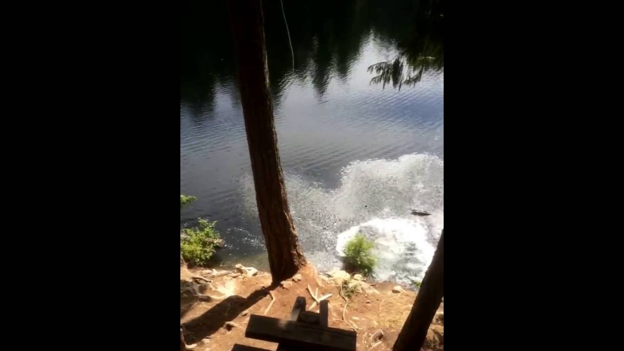 Loggers Lake Extreme Rope Swing Fail - YouTube