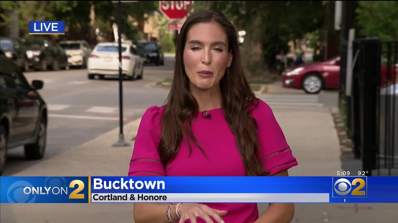 Chicago Carjacking Victim Tells Her Story, Gives Advice To Other ...