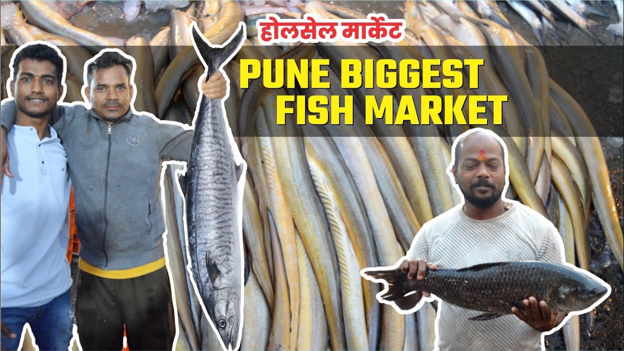 PUNE BIGGEST FISH MARKET पुण्यातील सर्वात मोठे मासे मार्केट - YouTube