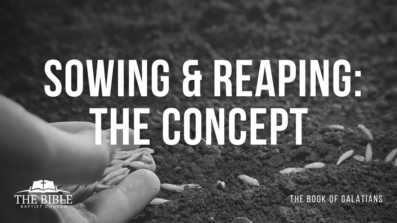 Sowing and Reaping: The Concept | Galatians - Lesson 39 - YouTube