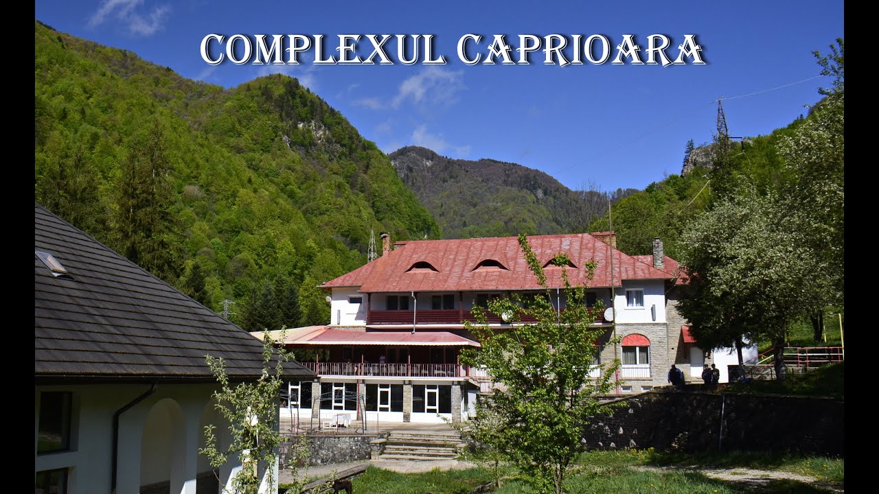 Complexul de Agrement Caprioara🌳🏵️☔🦅#tabara #munte #ialomita - YouTube