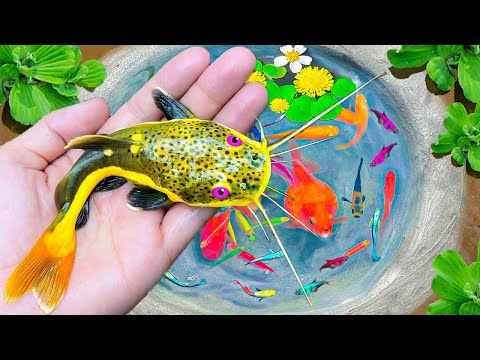 Amazing Catch Strange Fish In Tiny Ponds, Red Head Squirrel Fish, Ranchu Fish, Koi Fish, Puffer Fish