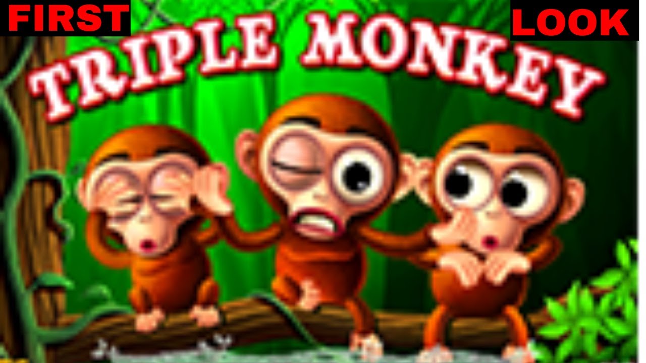 First Look! *TRIPLE MONKEY* These Monkeys are in Big Trouble! - YouTube