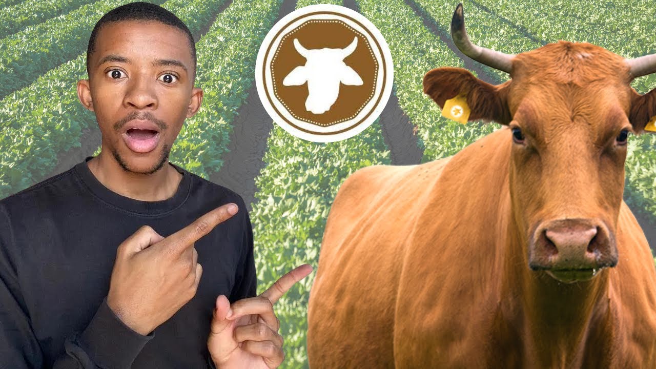 How to Buy A Cow Online With Your Smartphone! (livestockwealth) # ...