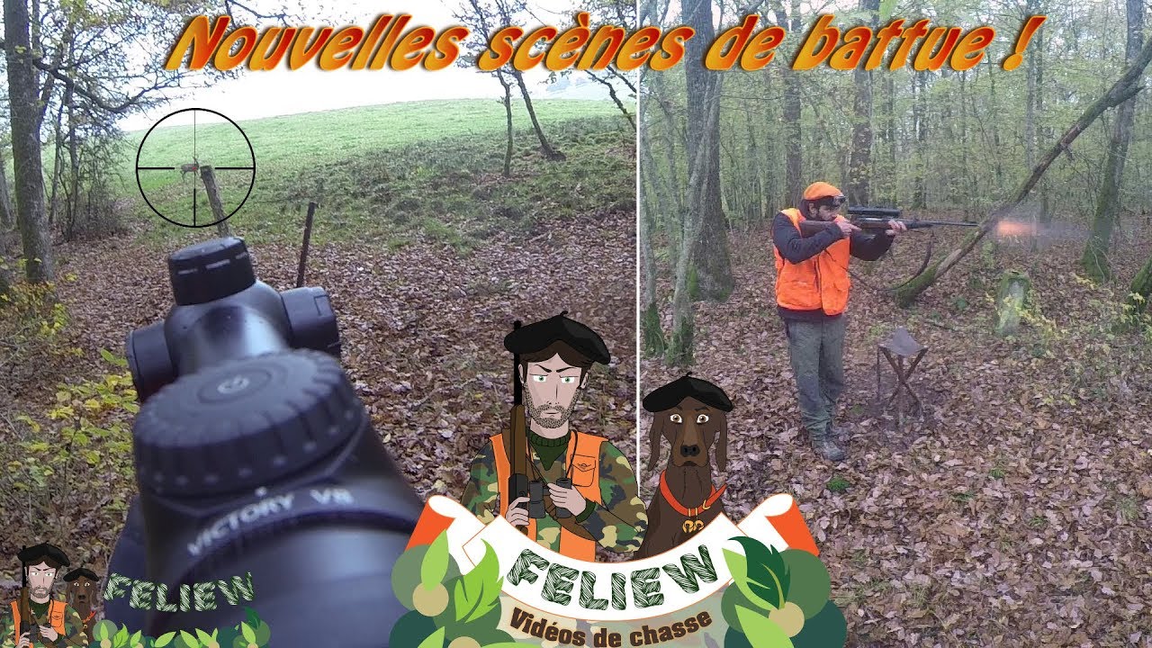 Quelques scènes de chasse en battue dans les Vosges , sanglier ...