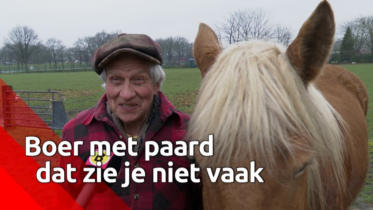 Boer Sjef zwoegt nog regelmatig met paard en ploeg op zijn akker: 'Je ...